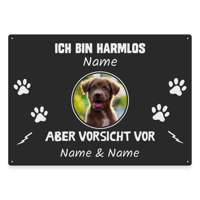 Outdoorschild mit Spruch - Ich bin harmlos, aber Vorsicht vor | TASSE ...